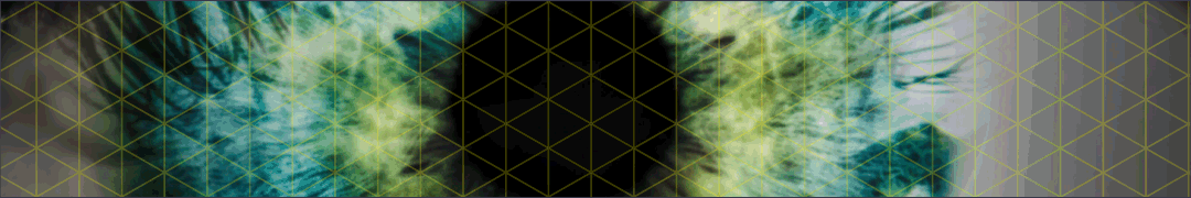 Qué es el arco senil